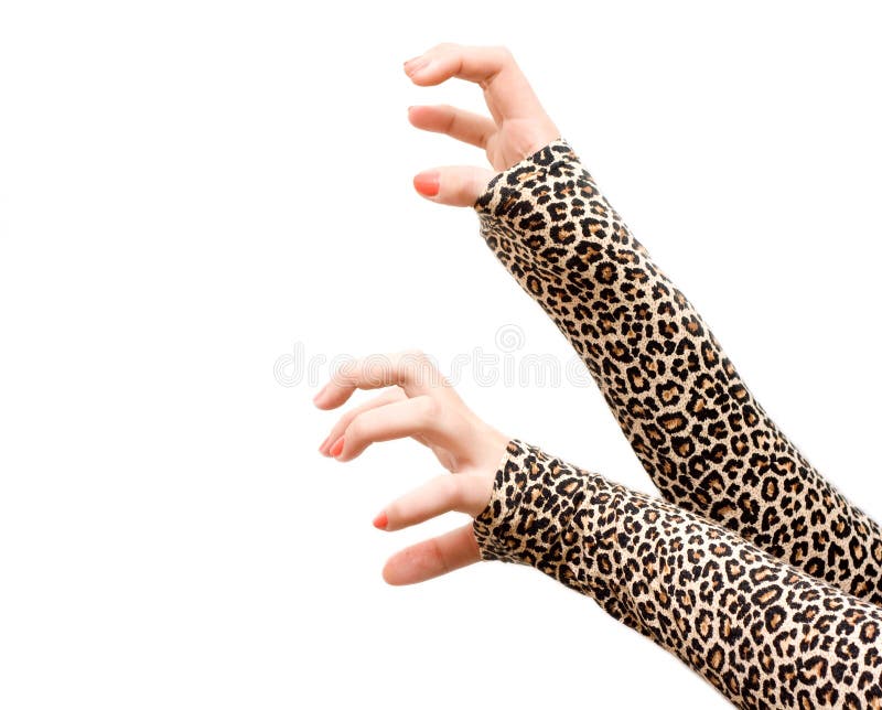 Hands leopard stock photo. Image of pleasure, person - 21415608