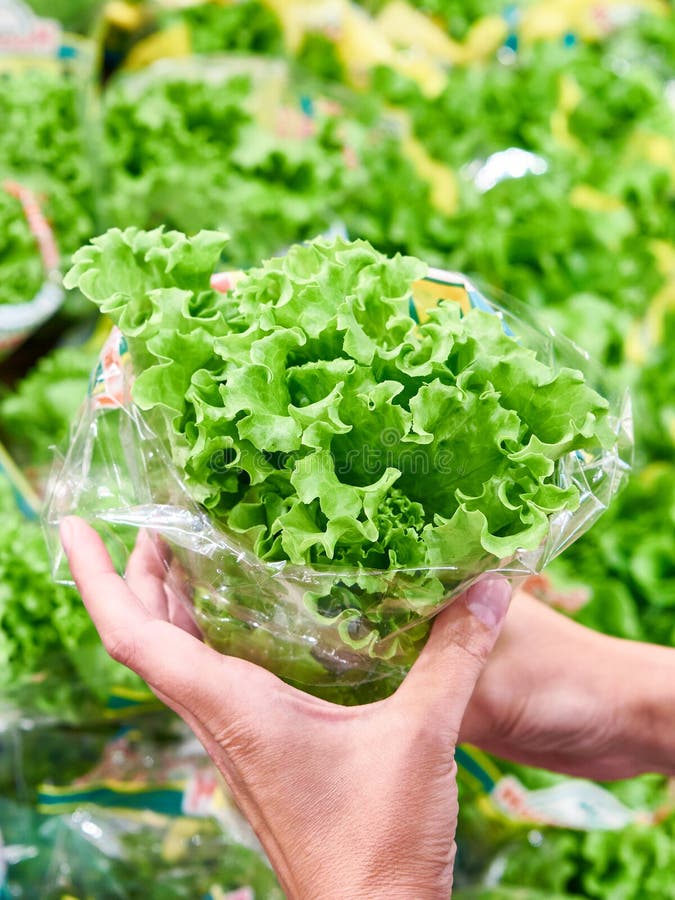 Hands with Lettuce Leaves in Store Stock Photo - Image of hold ...