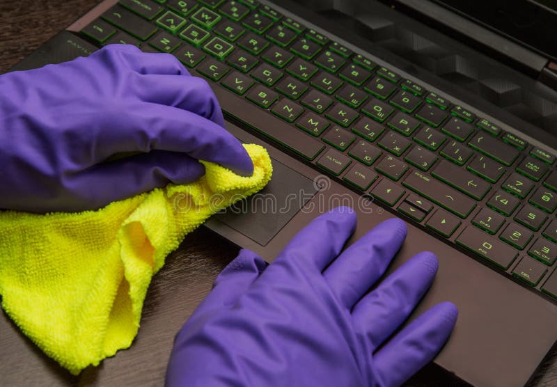 Hands in Lilac Gloves Wash the Computer Stock Photo - Image of ...