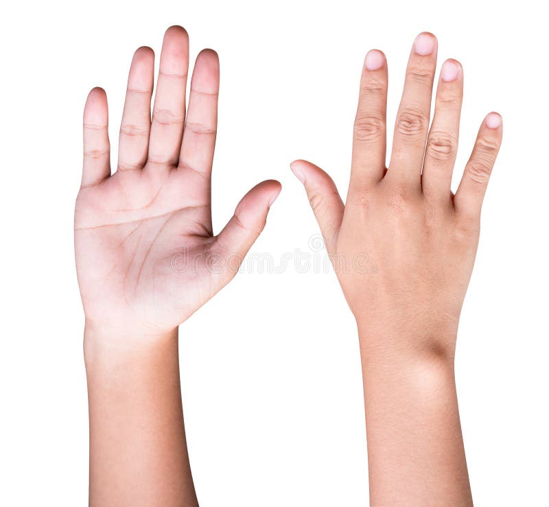 Upright Forefinger Stock Photos - Free & Royalty-Free Stock Photos from ...