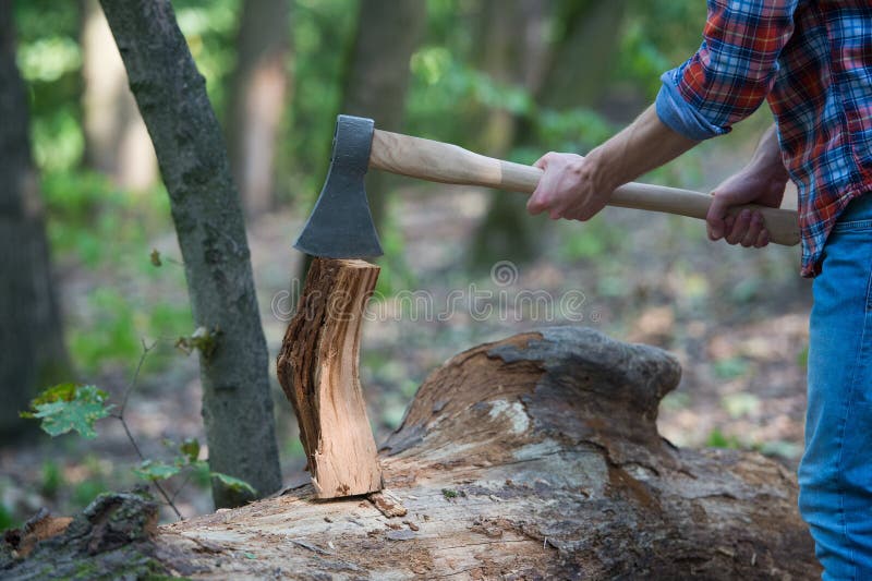 Hands of Lumberjack with Axe Cut a Tree, Forest Stock Image - Image of ...