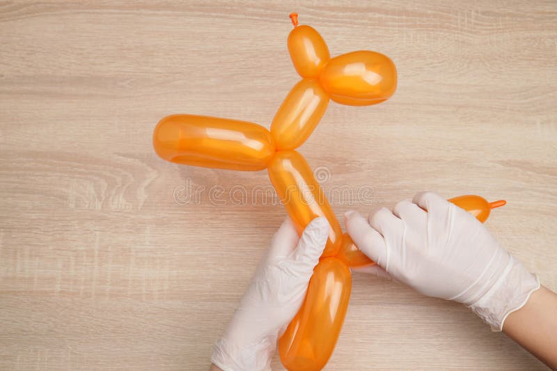 Hands Making an Animal from a Balloon Stock Photo - Image of ...