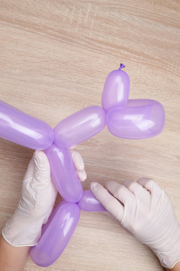 Hands Making a Dog from a Balloon. Vertical Orientation Stock Photo ...