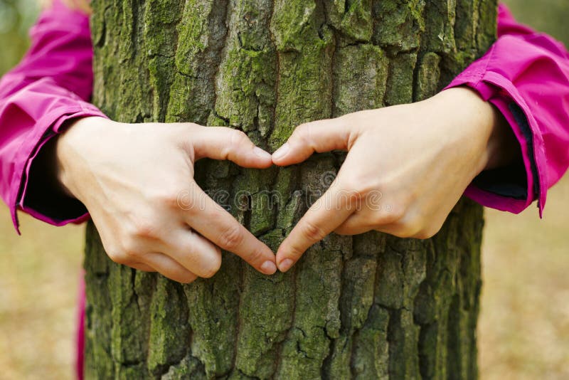 Hands Making Heart Shape Around Tree Trunk Stock Photo - Image of ...