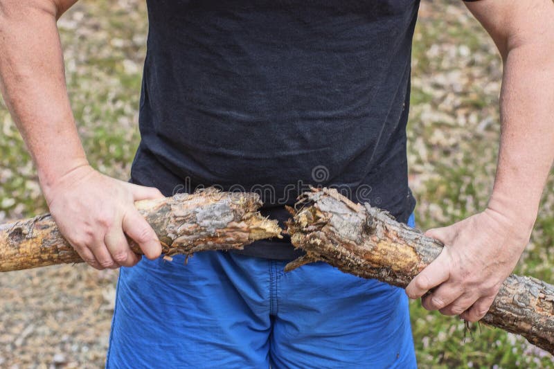 Hands Breaking Branch Stock Photos - Free & Royalty-Free Stock Photos ...