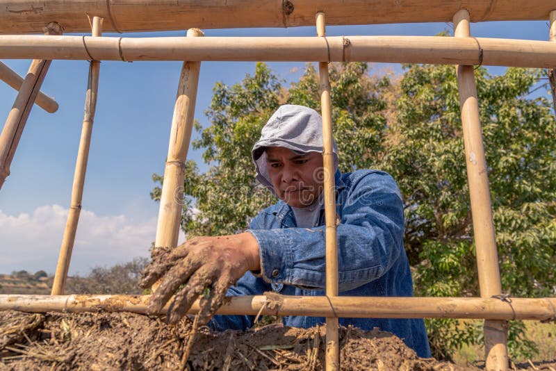 Hands a Man Building a Wall with Reed and Mud, Bioconstruction Stock ...