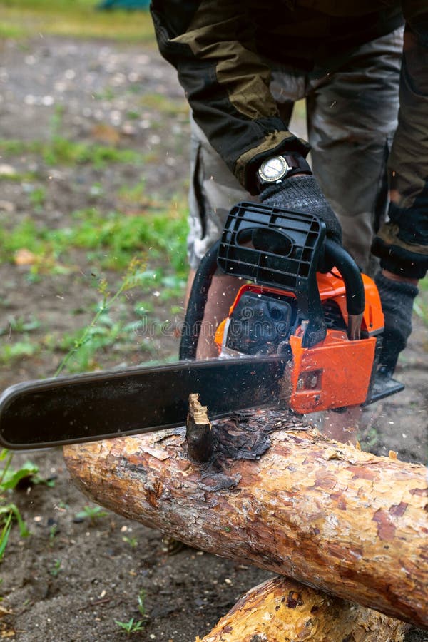 Man Holding Chainsaw stock photo. Image of power, lumberjack - 14085560