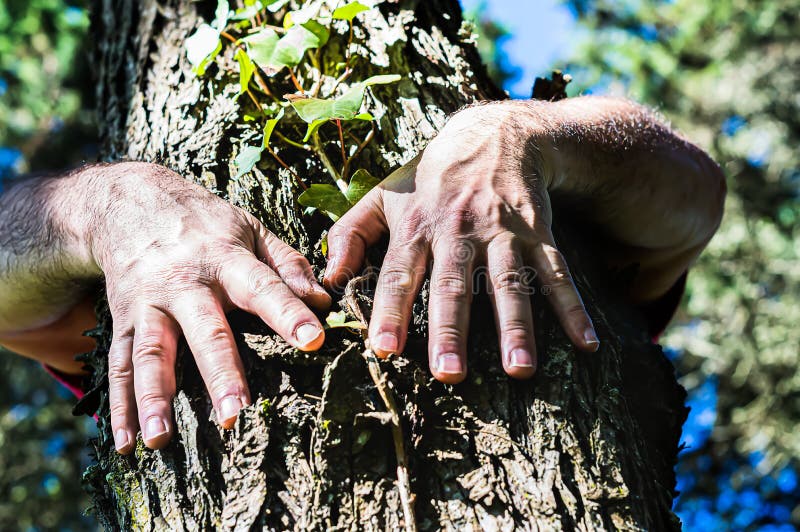 The Hands of a Man Hugging a Tree Stock Image - Image of hands ...