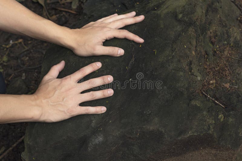 Man Hands Touching Rock with Moss Stock Photo - Image of investigation ...