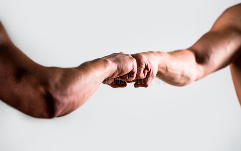 Hands Of Man People Fist Bump Team Teamwork Success Man Giving Fist