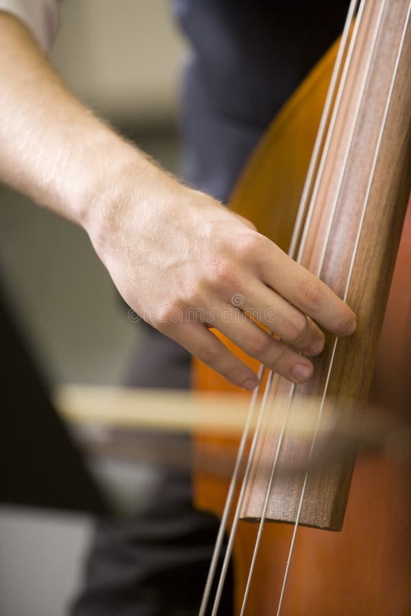 Hands of Man Playing the Bass Stock Photo - Image of fingers, focus ...