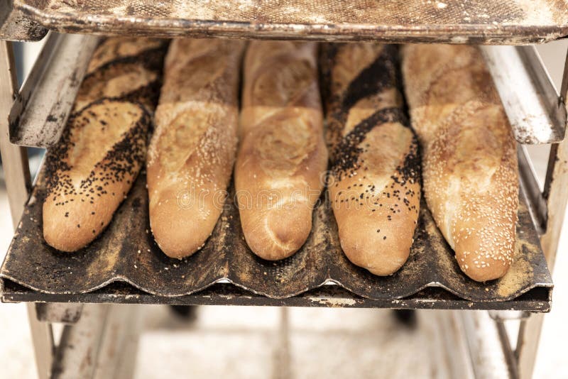 Hands of the Master Baker in Bread Production Stock Image - Image of ...