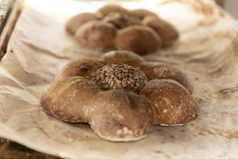 Hands of the Master Baker in Bread Production Stock Photo - Image of ...