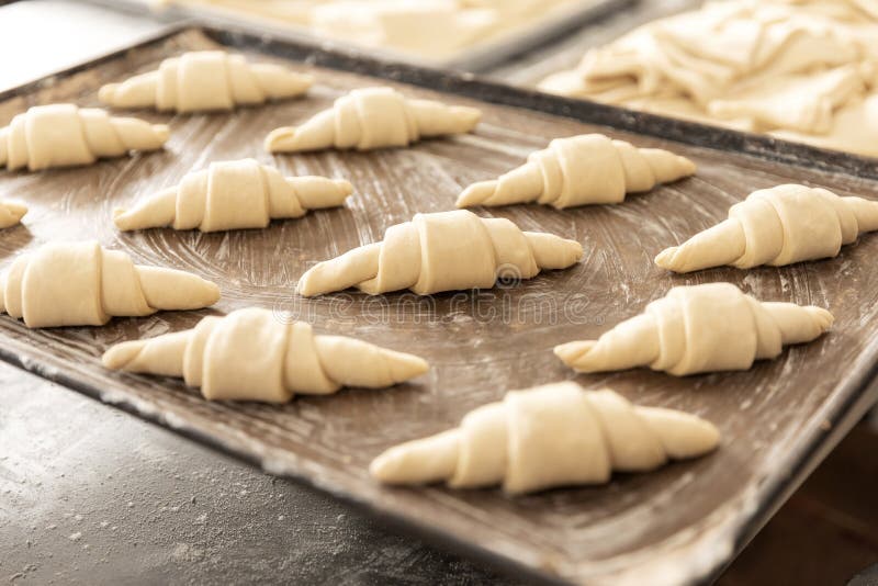Hands of the Master Baker in Bread Production Stock Image - Image of ...