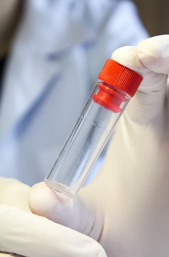 Hands in Medical Gloves Holding Empty Plastic Tube with Red Cap Stock ...