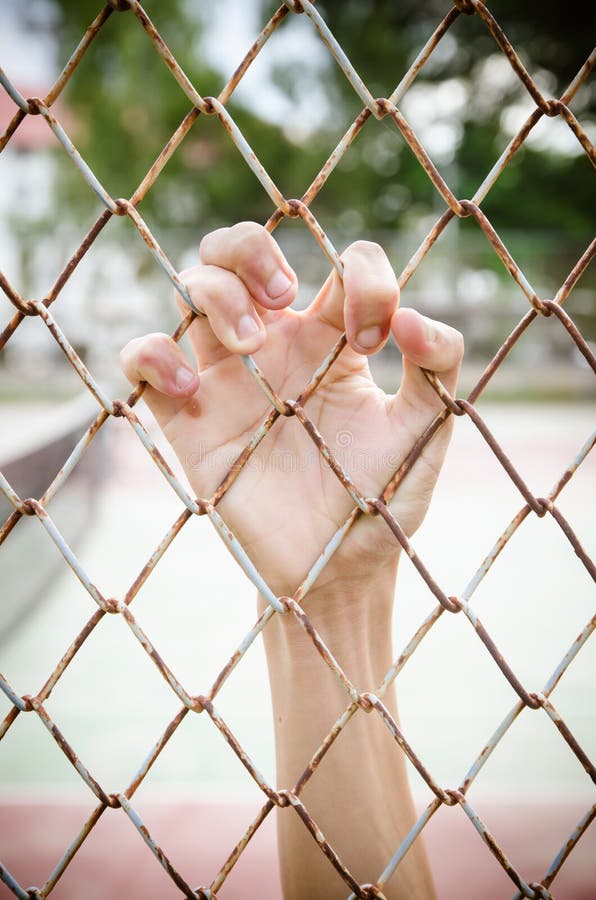 Hands with Mesh Cage, Hands with Steel Mesh Fence Stock Photo - Image ...