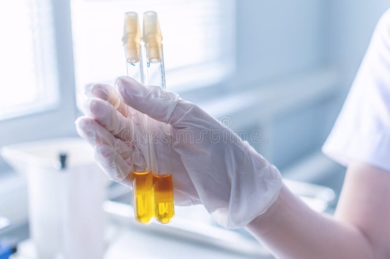 The Study of Viruses, Bacteria and Other Biological Samples Under a ...