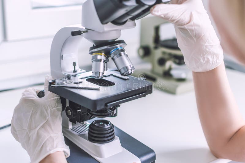 Hands with Microscope in the Laboratory Stock Image - Image of ...