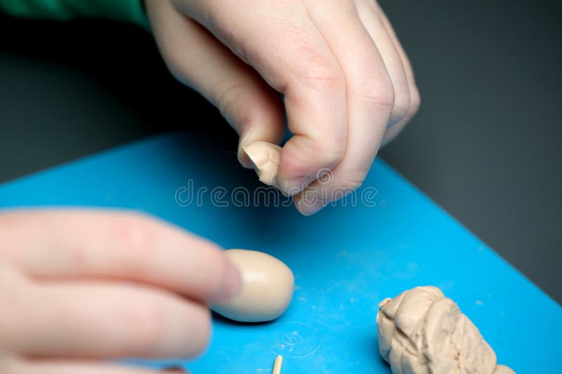Hands Molding Creative Shapes from Soft Clay in an Artistic Workspace ...