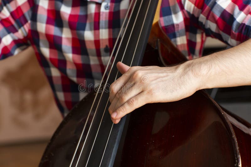 Hands of a Musician Playing on a Contrabass Closeup Stock Image - Image ...