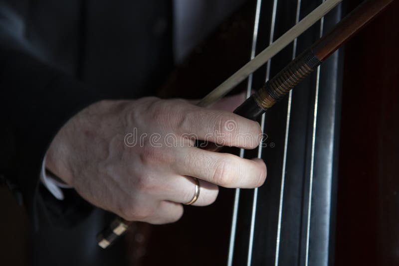 Hands of a Musician Playing on a Contrabass Closeup Stock Photo - Image ...