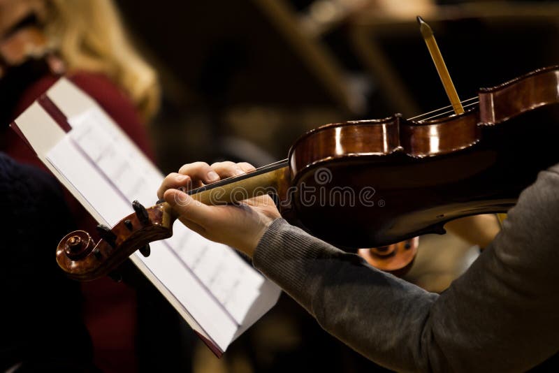 Hands Musician Playing the Violin Stock Photo - Image of quartet, human ...