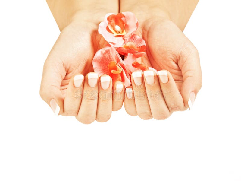 Hands and nails stock image. Image of care, healthy - 125516525