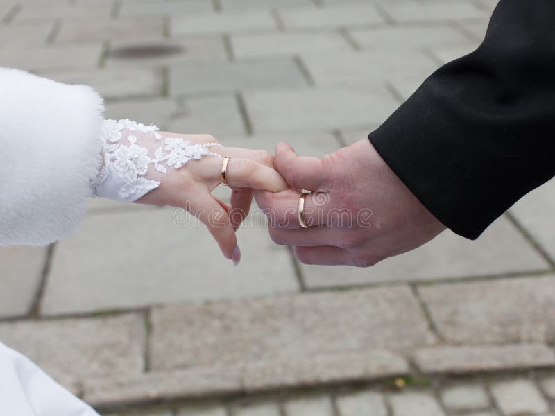 Hands of Newly Wedded with Wedding Rings Stock Image - Image of parts ...