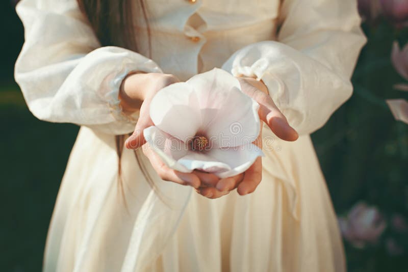 Hands offering stock image. Image of offer, background - 14963027