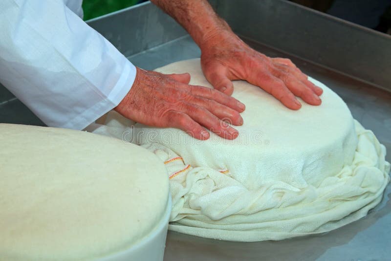 Hands of an Old and Expert Cheesemaker Stock Photo - Image of creamery ...