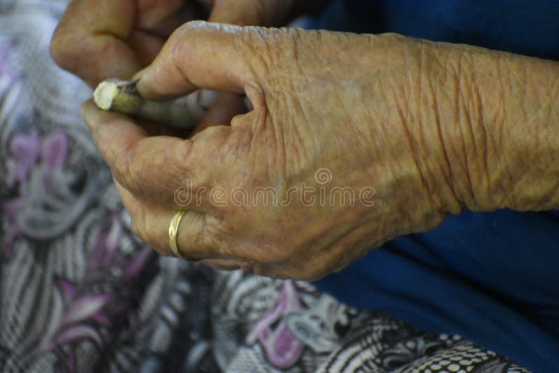 Hands of an Old Woman Weeding the Beans Stock Image - Image of hands ...