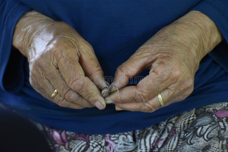 Hands of an Old Woman Weeding the Beans Stock Photo - Image of person ...