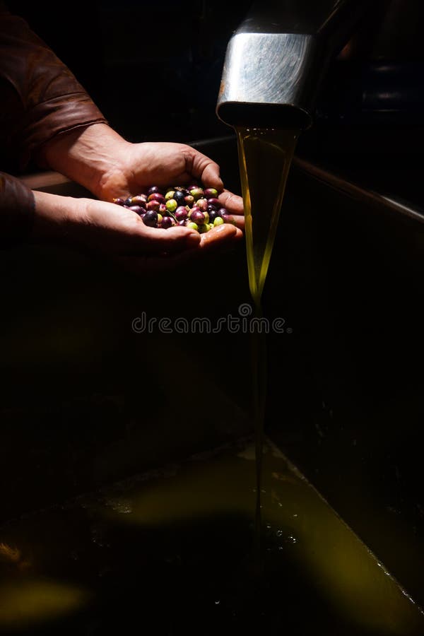 Hands with Olives and Oil Pouring Stock Image - Image of body, pouring ...