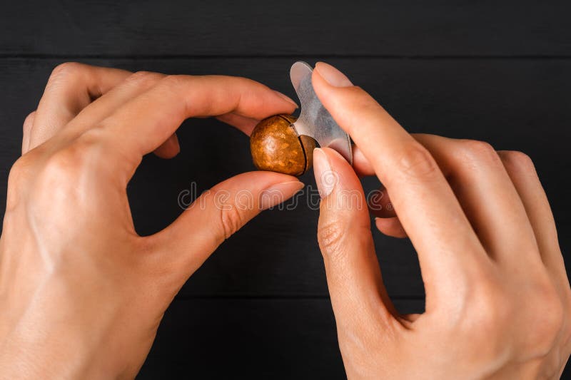 Hands Open the Macadamia Nut with a Special Key Stock Photo - Image of ...