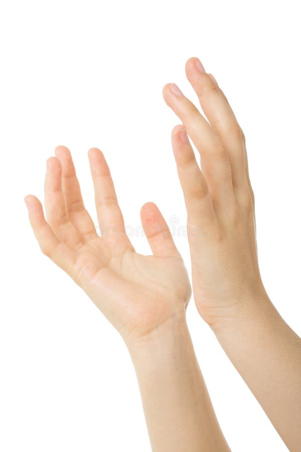 Open hands stock image. Image of begging, female, together - 5534953