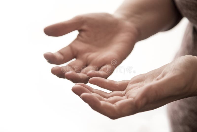 Hands Open in Prayer stock photo. Image of hands, clean - 119647950