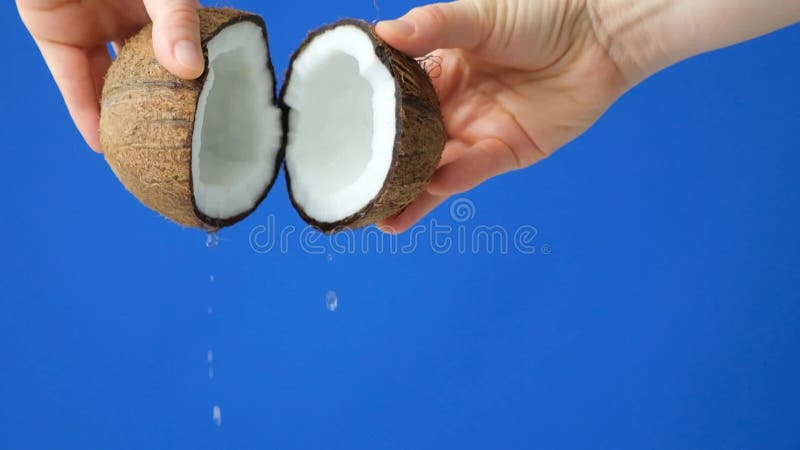Hands Opening Coconut, Coconut Water Pouring Out, Slow Motion. Stock ...