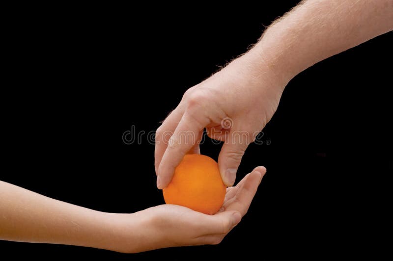 Hands & Orange stock image. Image of human, male - 12009693