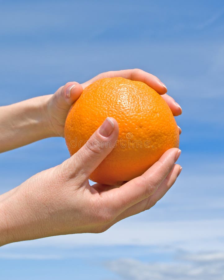 Hand holding orange stock photo. Image of summer, freshness - 9162684