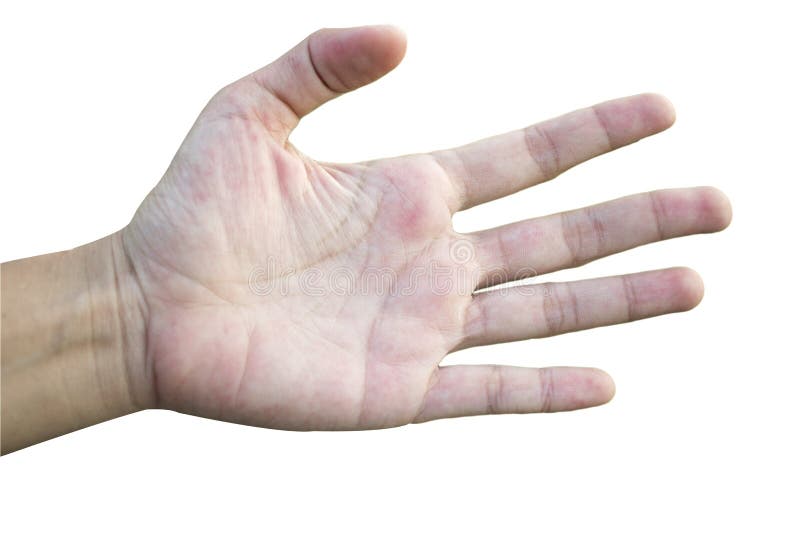 Hands are Outstretched, Human Hand on White Background Stock Photo ...