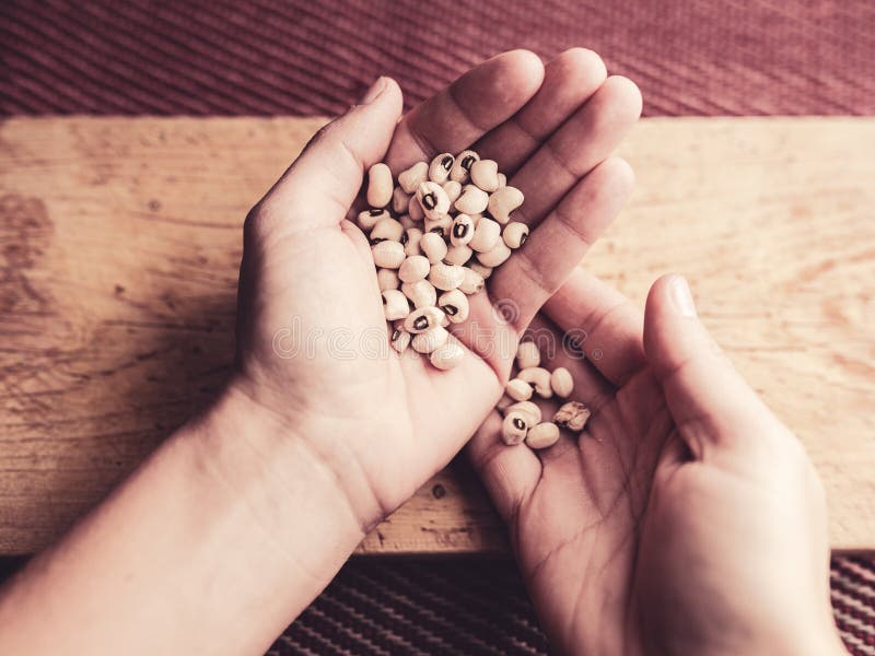 Hands Over a Wood Holding Beans Stock Photo - Image of caucasian ...