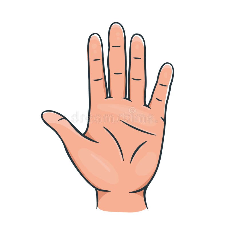 Two Hands Palm Up White Background Stock Vector - Illustration of ...