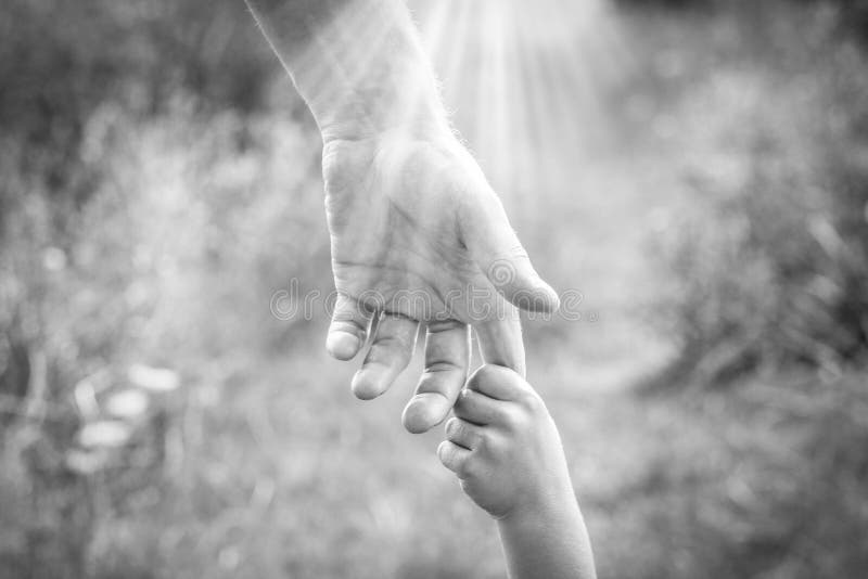 Hands of Parent and Child Outdoors in the Park Stock Image - Image of ...