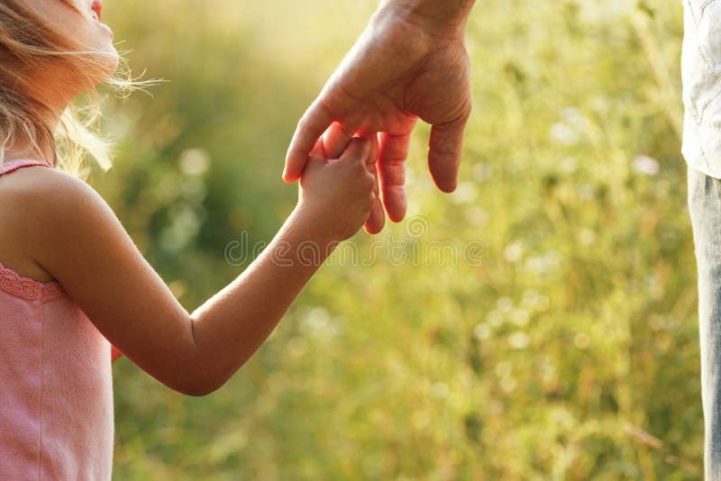 Hands of Parent and Child Outdoors in the Park Stock Image - Image of ...