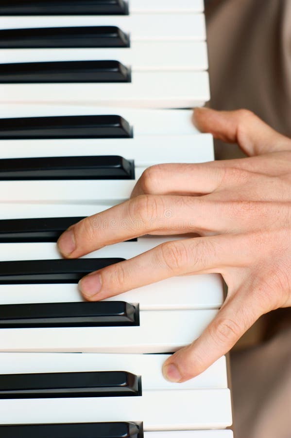 Hands and piano player stock photo. Image of harmony, activity - 5536464