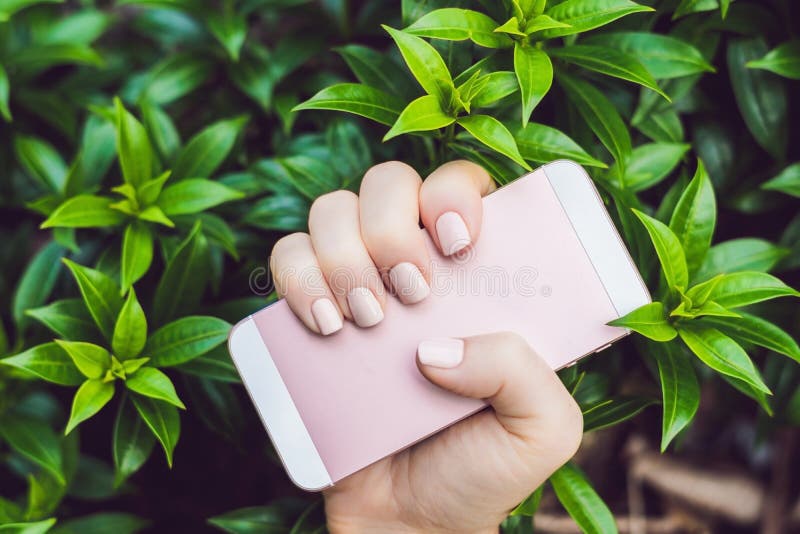 Hands with Pink Nails Hold Pink Phone BANNER, Long Format Stock Image ...