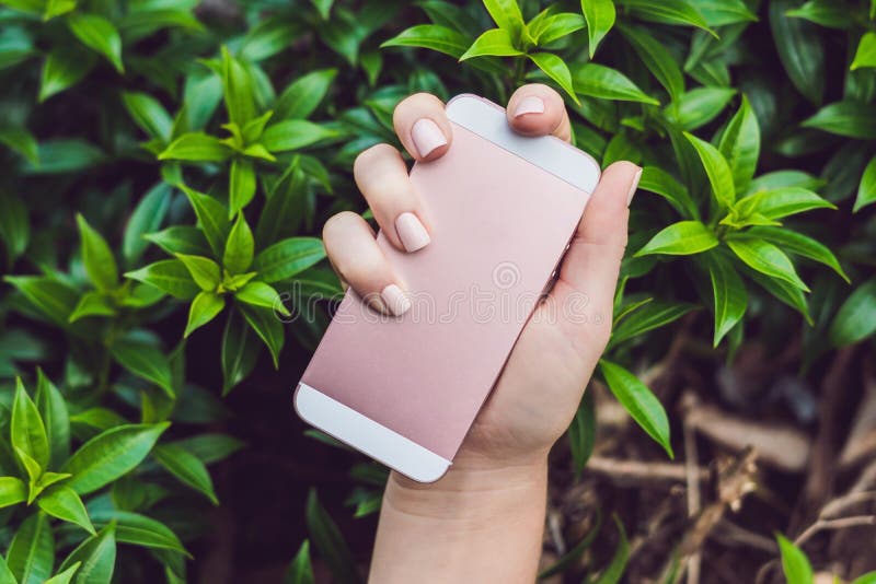 Hands with Pink Nails Hold Pink Phone Stock Image - Image of hand ...