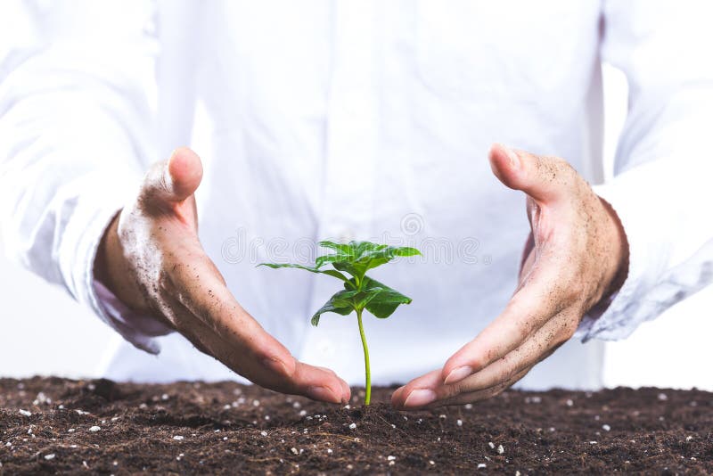 Hands and plants stock photo. Image of mineral, copy - 93937734