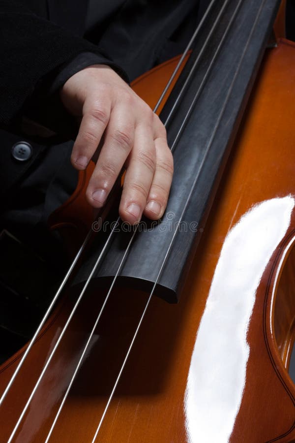 Hands Playing Electic Contrabass Stock Image - Image of octave ...