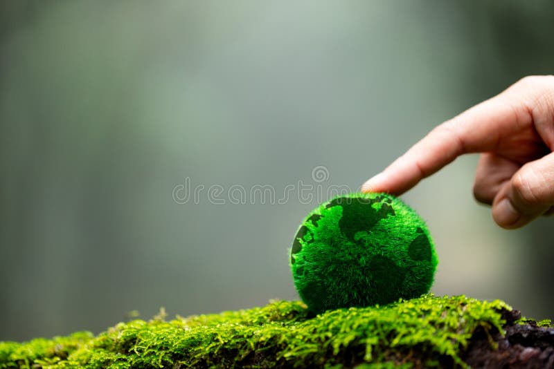 Hands Pointing Green Globe in Green Forest. Forest Conservation Concept ...
